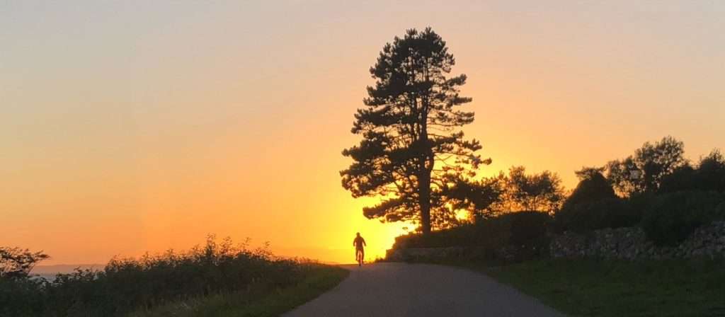 Discover & Unleash your passion - Gislen Software